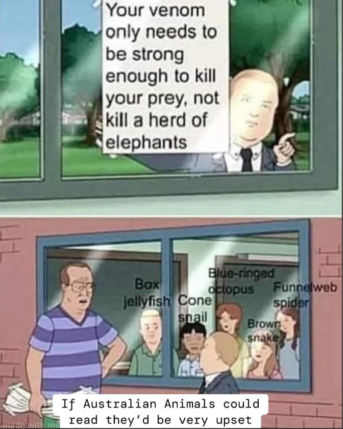 Austria is just cursed. - 9GAG