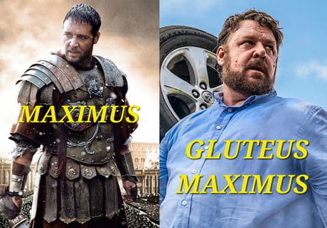 Memes De Gladiadoras