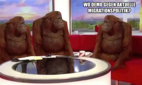 Best Funny migration Memes - 9GAG