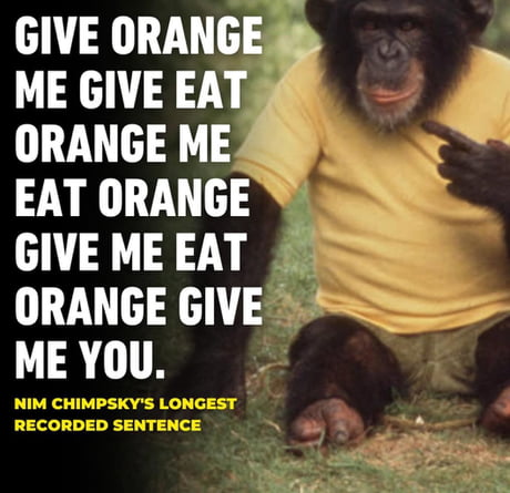 Best Funny chimpanzee Memes - 9GAG