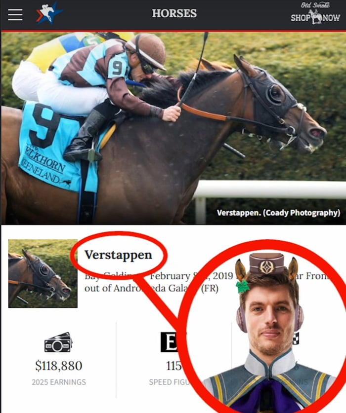 When Cygames add this horse to their game? - 9GAG