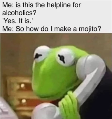 Funny Kermit Memes