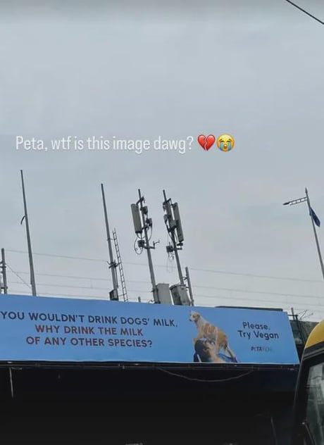 Best Funny peta Memes - 9GAG