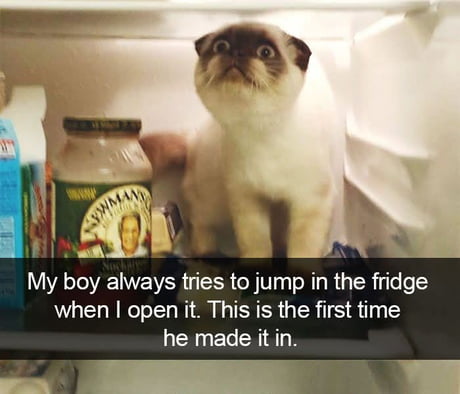Best Funny proud Memes - 9GAG