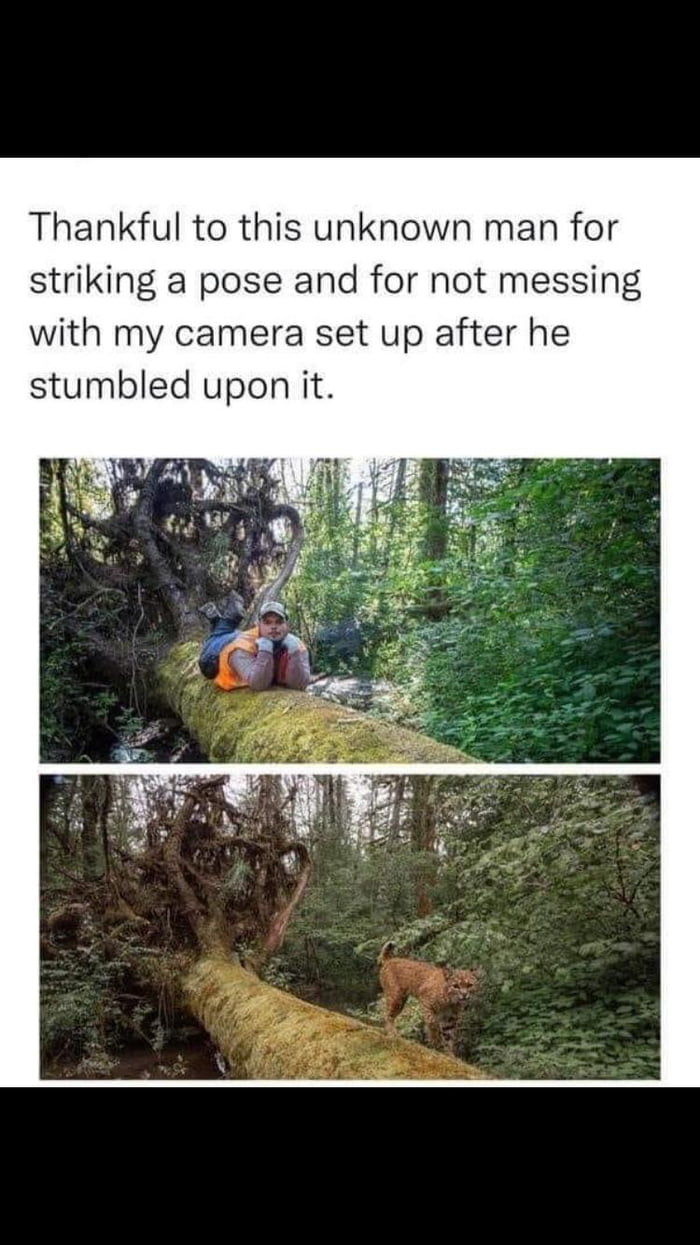 Madlad in the wild - 9GAG