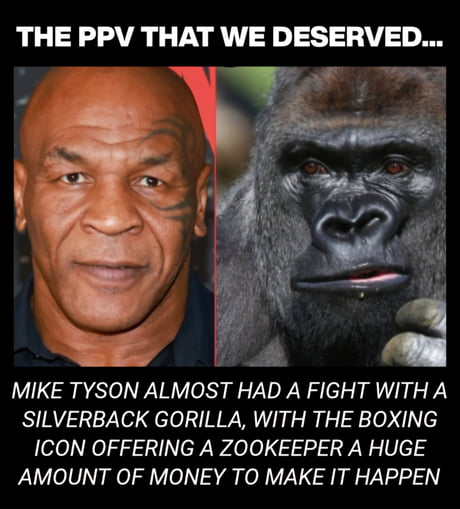 Best Funny boxing Memes - 9GAG