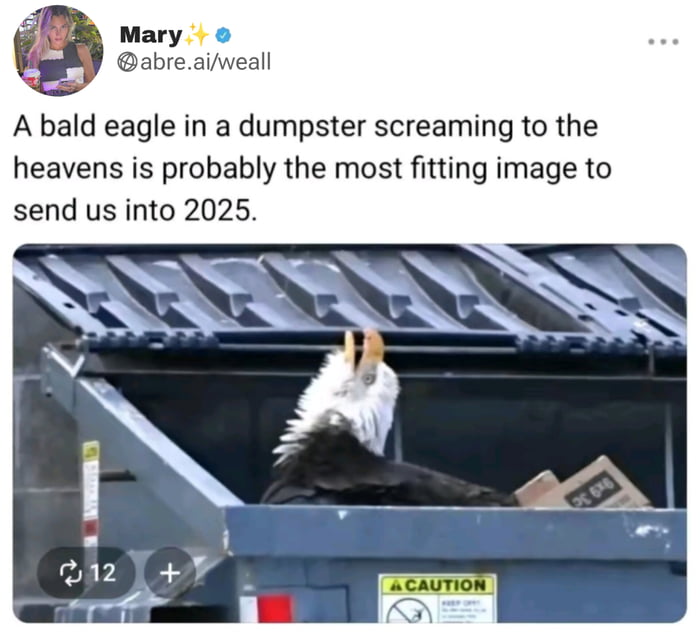 A bald eagle sending us into 2025 - 9GAG