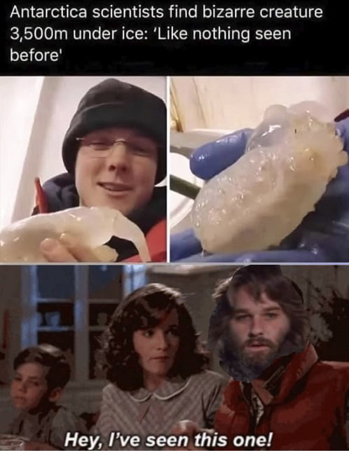 Nope nope nope - 9GAG