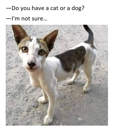 Best Funny confused Memes - 9GAG