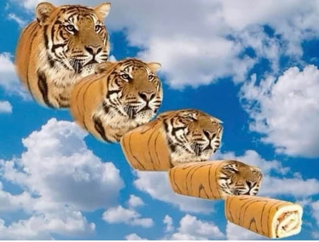 Best Funny tiger Memes - 9GAG