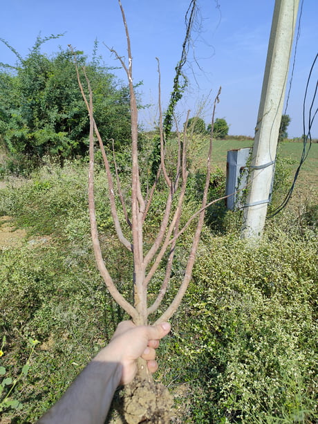 Best Funny s of contra Memes - 9GAG