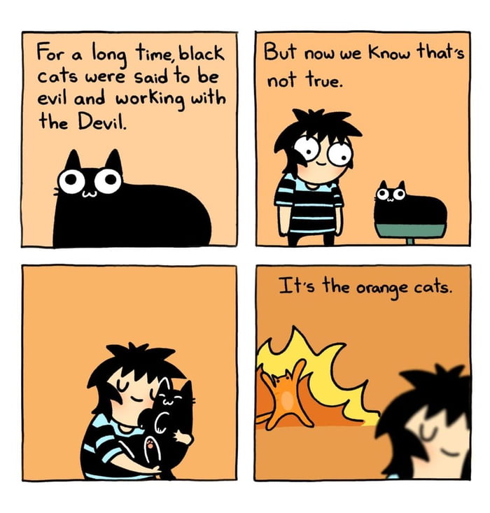 No one can say no to a cute kitten! - 9GAG