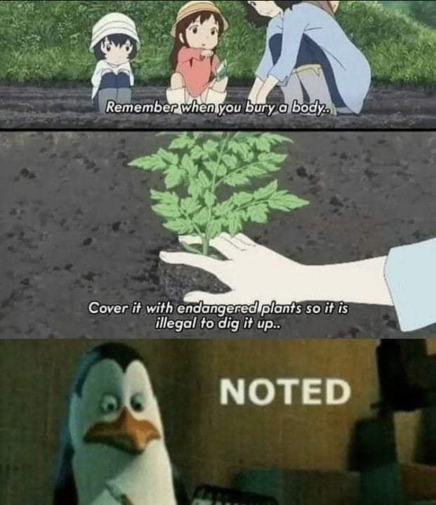 Holy molly guacamole - 9GAG