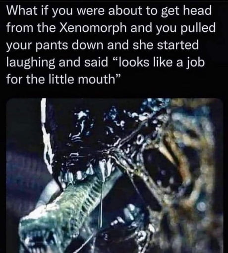 Best Funny xenomorph Memes - 9GAG
