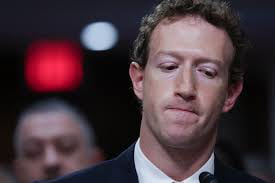The companies founded or run by Meta CEO Mark Zuckerberg, Apple CEO Tim ...