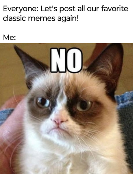 Cat Grumpy Memes Hd Memebase Grumpy Cat All Your Memes In Our Base