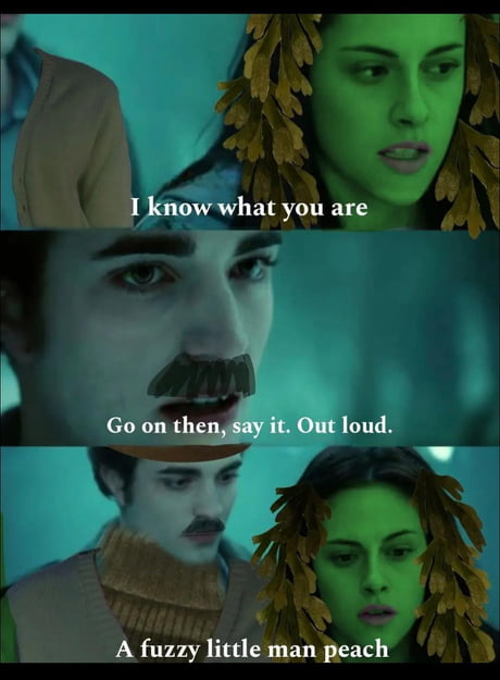 Memes Do Crepusculo