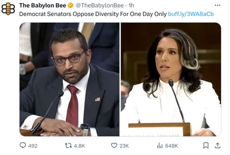 Best Funny babylon bee Memes - 9GAG