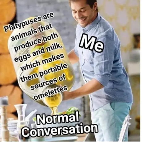 Best Funny normal conversation Memes - 9GAG