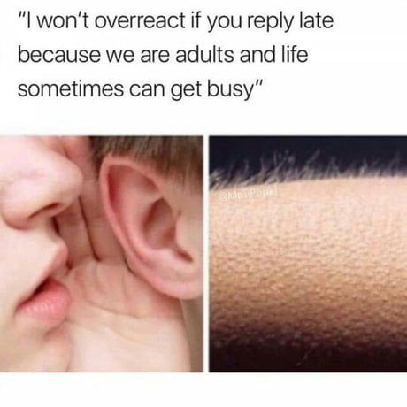 Evening Pervert - 9GAG