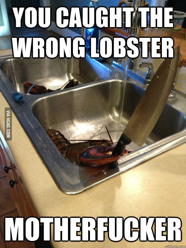 You caught the wrong one - 9GAG