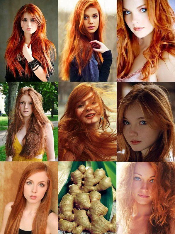 Gingers - 9GAG