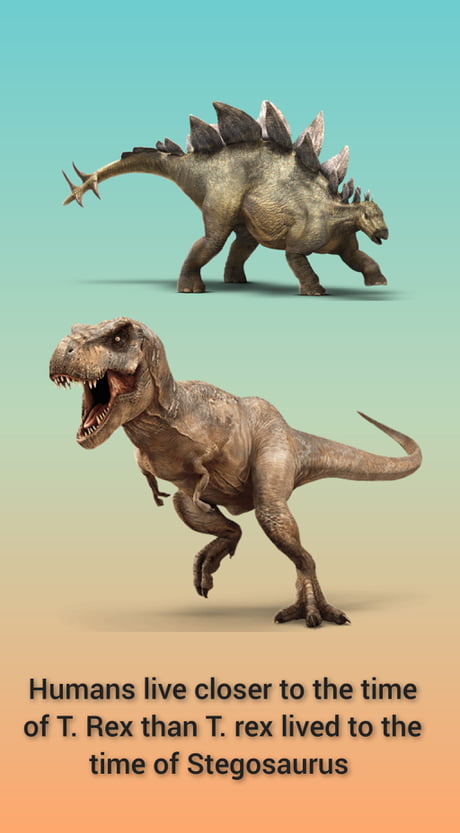 Tyrannosaurus Rex Vs Stegosaurus