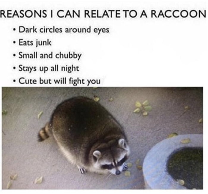 Hello and welcome to my presentation - 9GAG