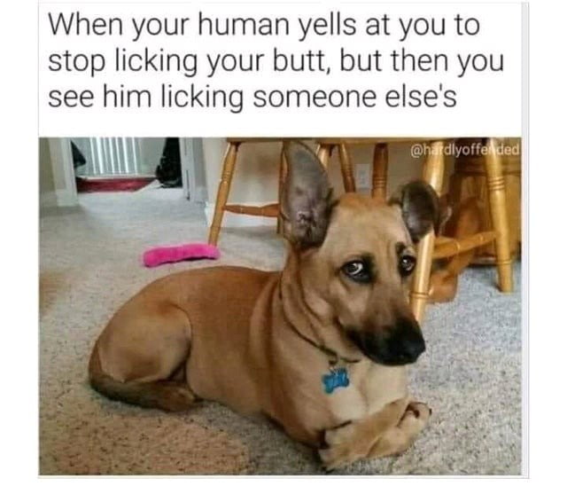 You Booty Licker 9gag