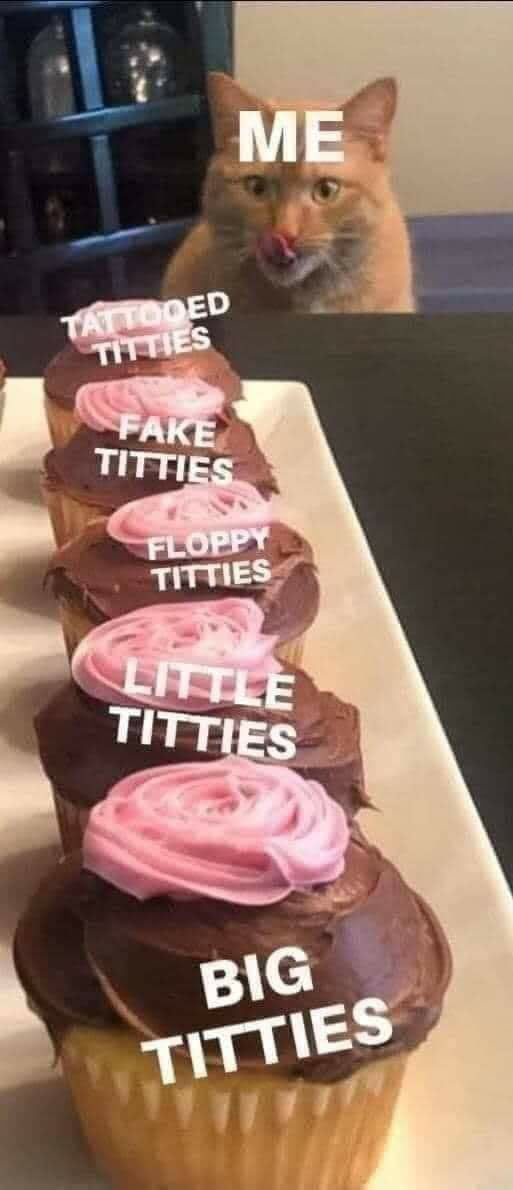 Tig ol' Bitties are my fav - 9GAG