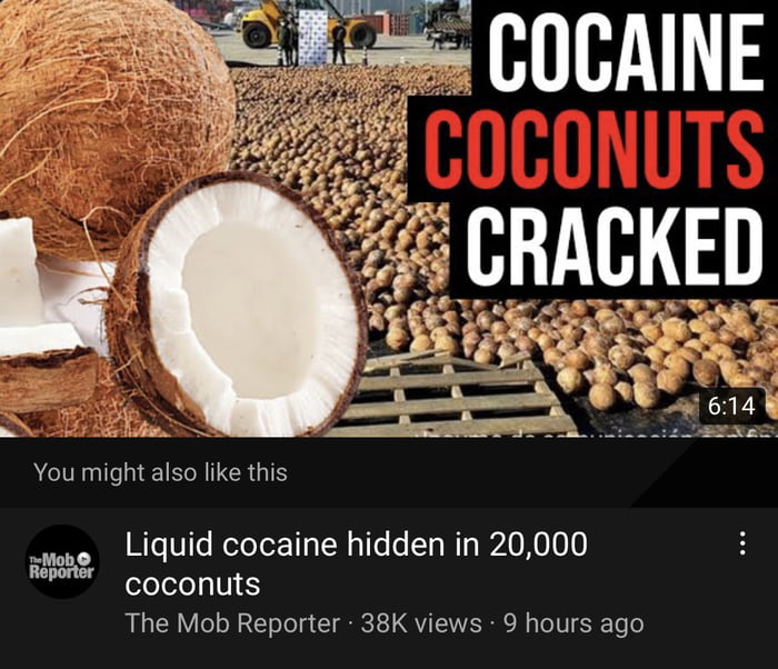 Liquid cocaine hidden in 20,000 coconuts - 9GAG