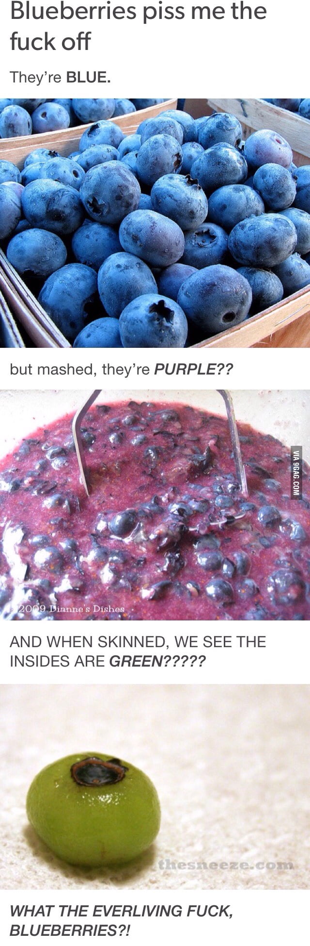 Blueberries need to make up their mind. - 9GAG