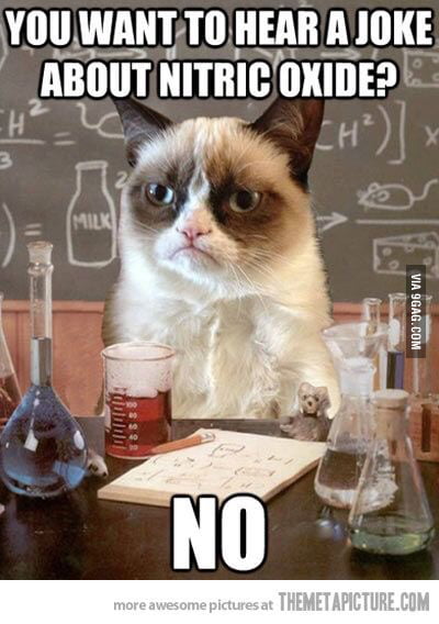Lab Cat Memes