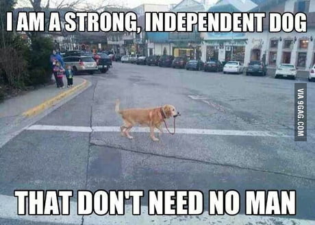 Strong Independent Dog Memes Meme: Behind Every Strong Woman By