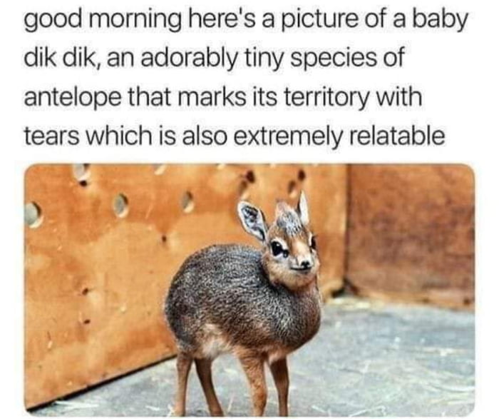 Tiny baby - 9GAG