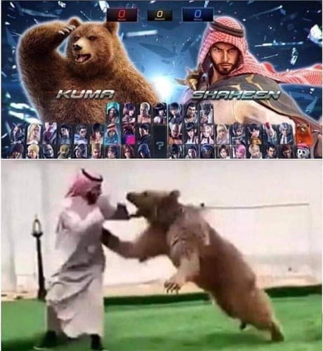 Tekken Meme