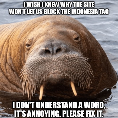 I am the Walrus. - 9GAG