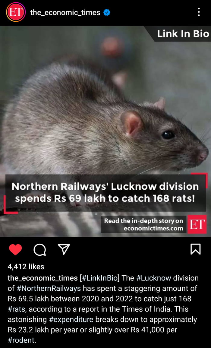 41000 per rat! That's a lot of money to be spending on rats.. they caught 168 rats across 2 ...