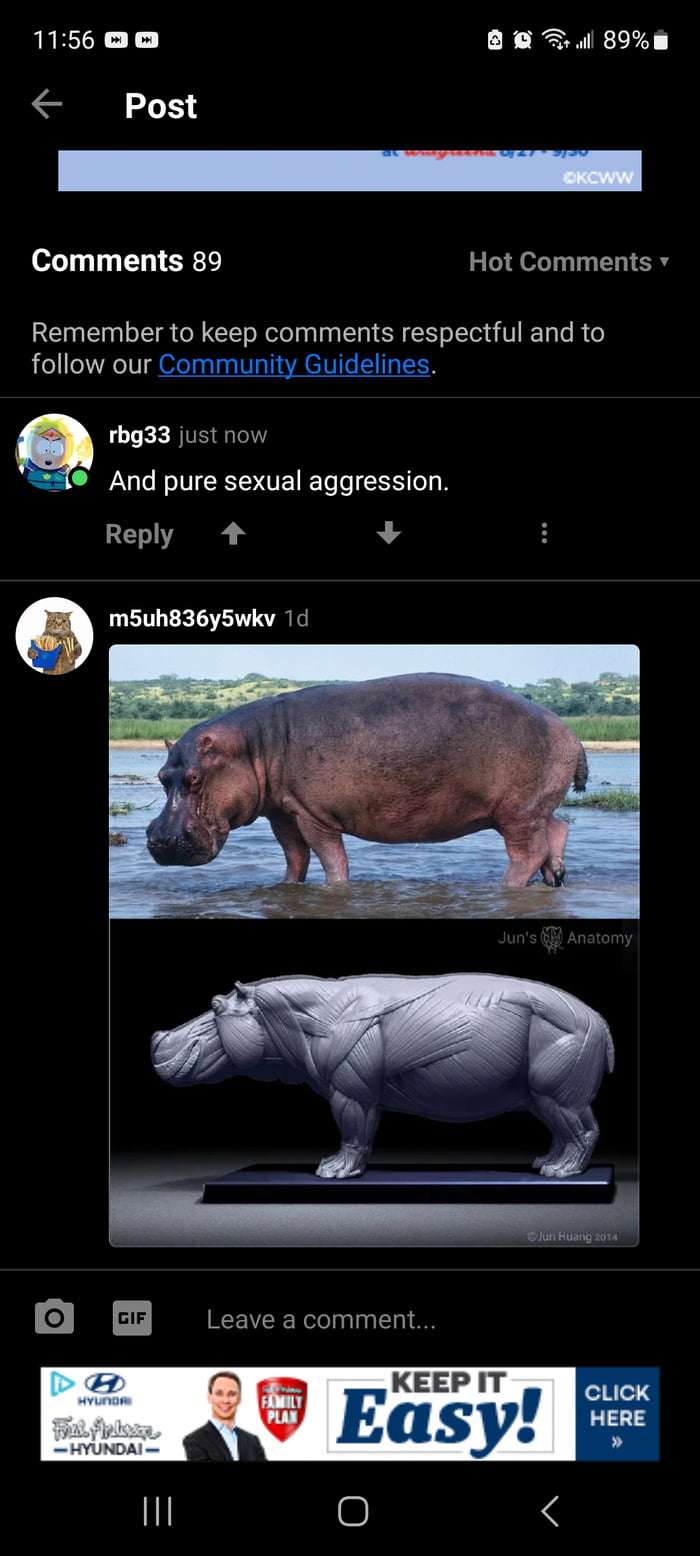 There it is, the perfect comment. - 9GAG