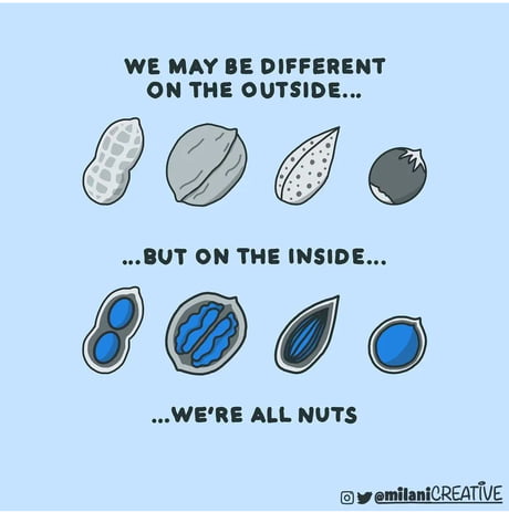Best Funny nuts Memes - 9GAG