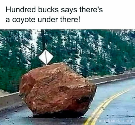 Best Funny coyote Memes - 9GAG