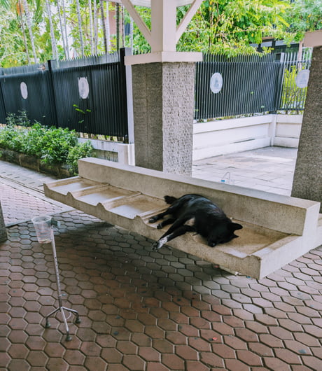 Best Funny begging Memes - 9GAG