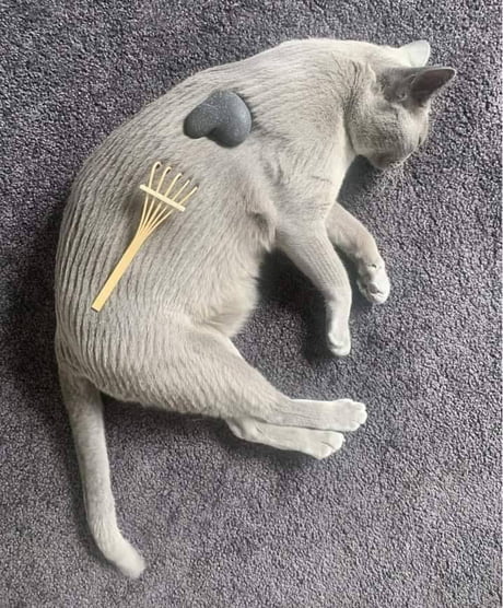 Best Funny relax Memes - 9GAG