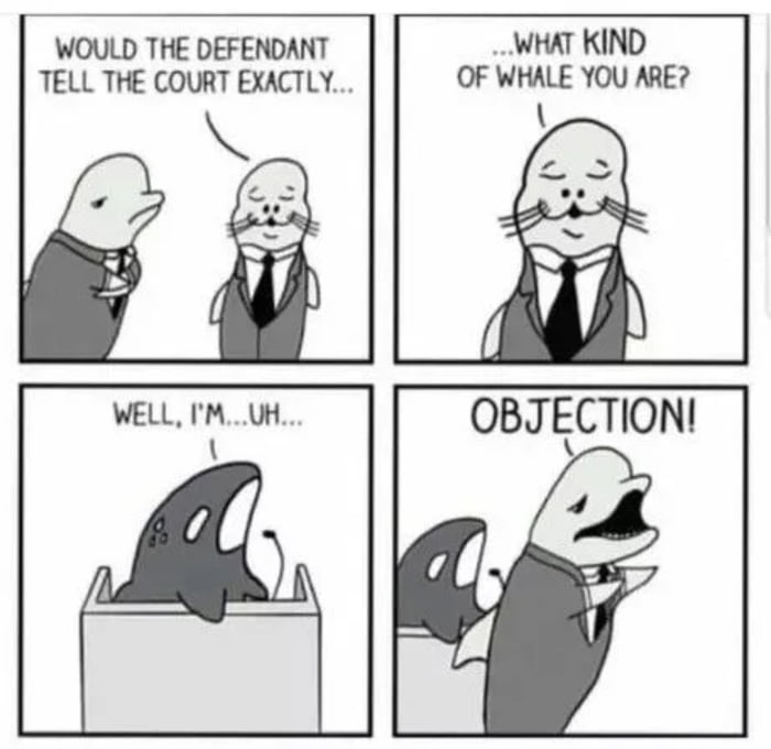 Objection! - 9GAG