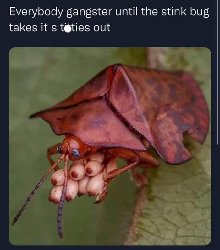 Teten - 9GAG