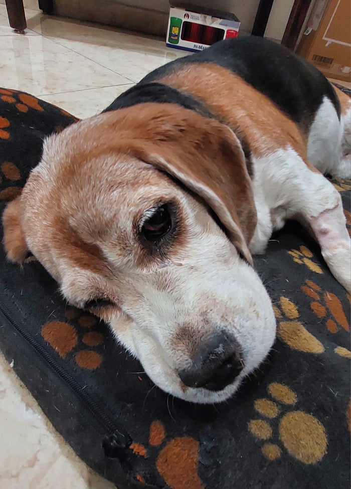 Today my best friend says Goodbye Adiós Timón - 9GAG