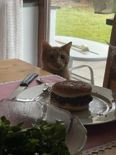 Best Funny thief Memes - 9GAG