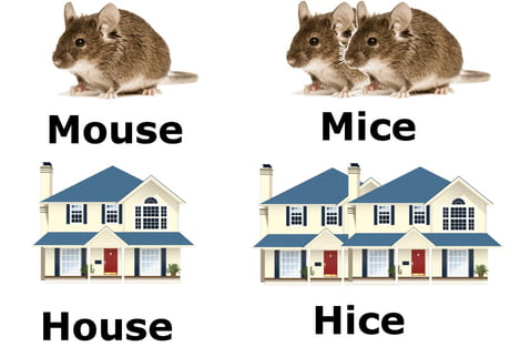 Best Funny mouse Memes - 9GAG