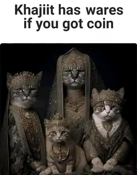 Best Funny khajiit Memes - 9GAG