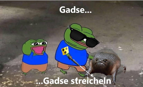 Best Funny katze Memes - 9GAG